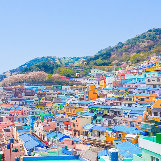 Discover South Korea - The Travel Boutique Geelong