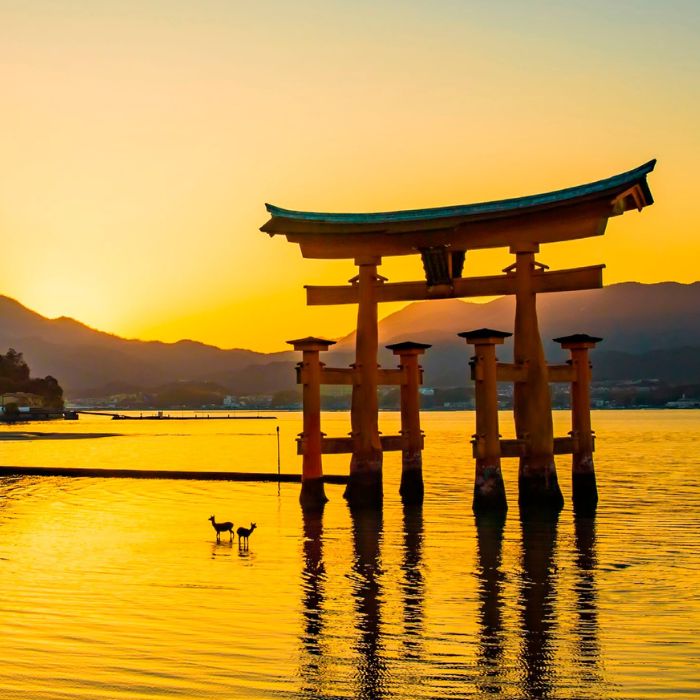 Essential Japan - The Travel Boutique Geelong