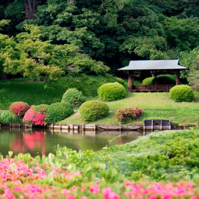 Essential Japan - The Travel Boutique Geelong